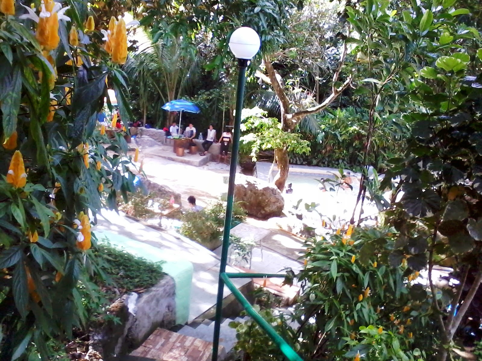 W(o/a)ndering Miegie: Lanipao Rainforest