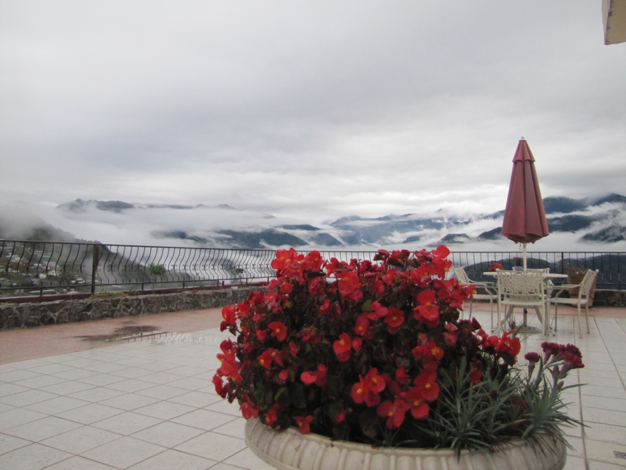 Puli, Wushe & Cingjing Farms, Taiwan (浦里/霧社/情境农场)