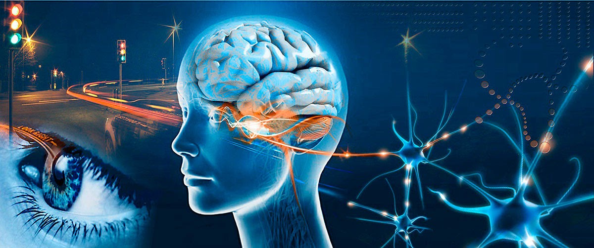 LOS PROCESOS PSICOLOGICOS: PERCEPCIÓN