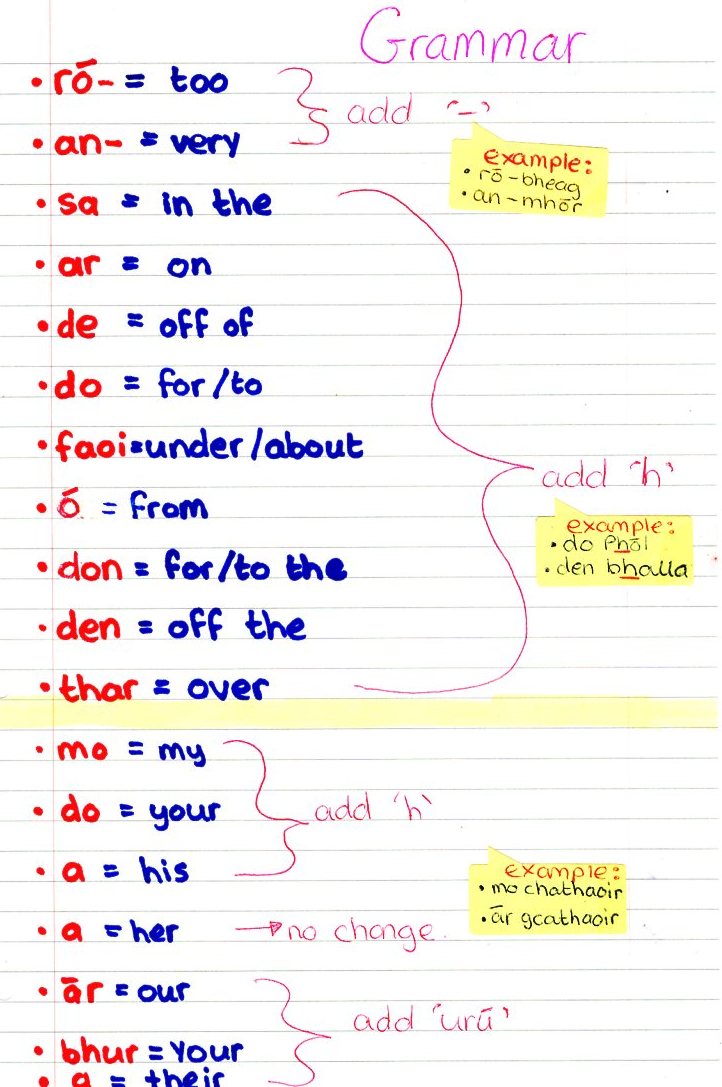 Study Notes By Kaz: Irish Vocab & Paper 1: OL