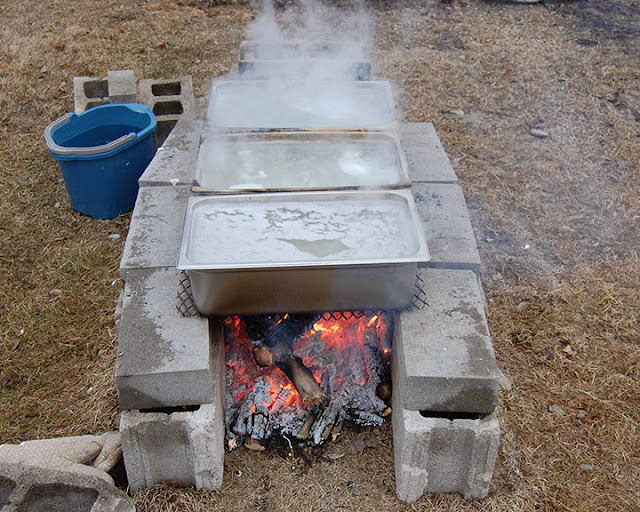 Joyfully Becca: how to make maple syrup: step by step