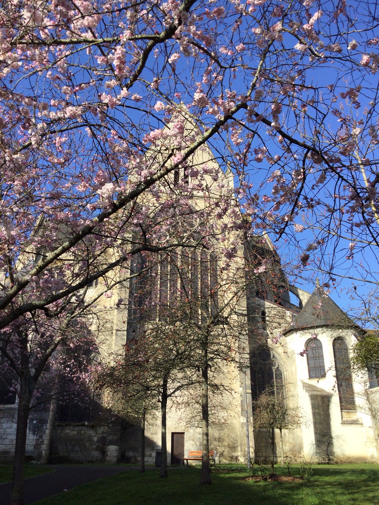 Tours, Indre-et-Loire: Square Prosper Mérimée