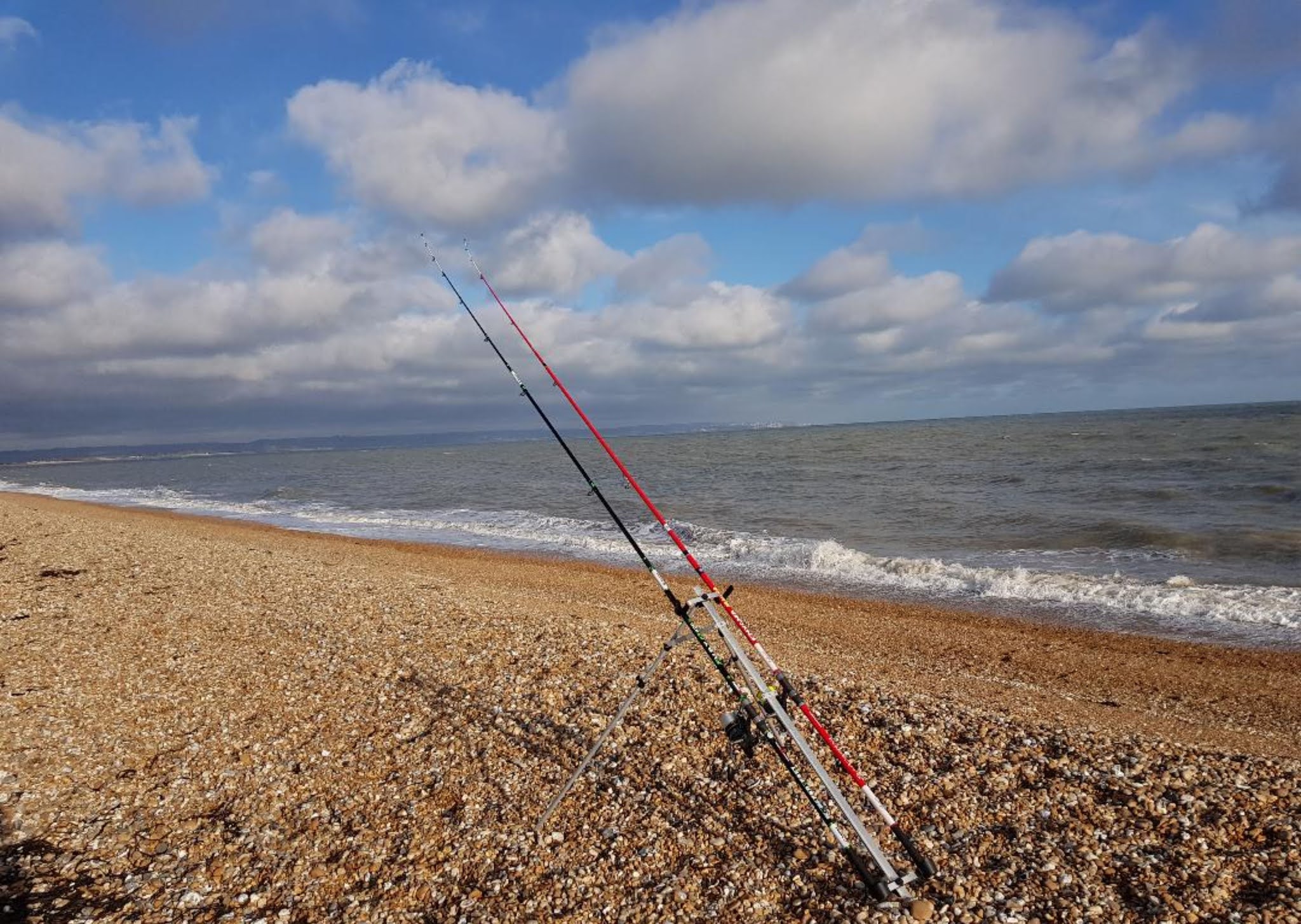 Seagull Fishing Tackle Sea Fishing at Dungeness