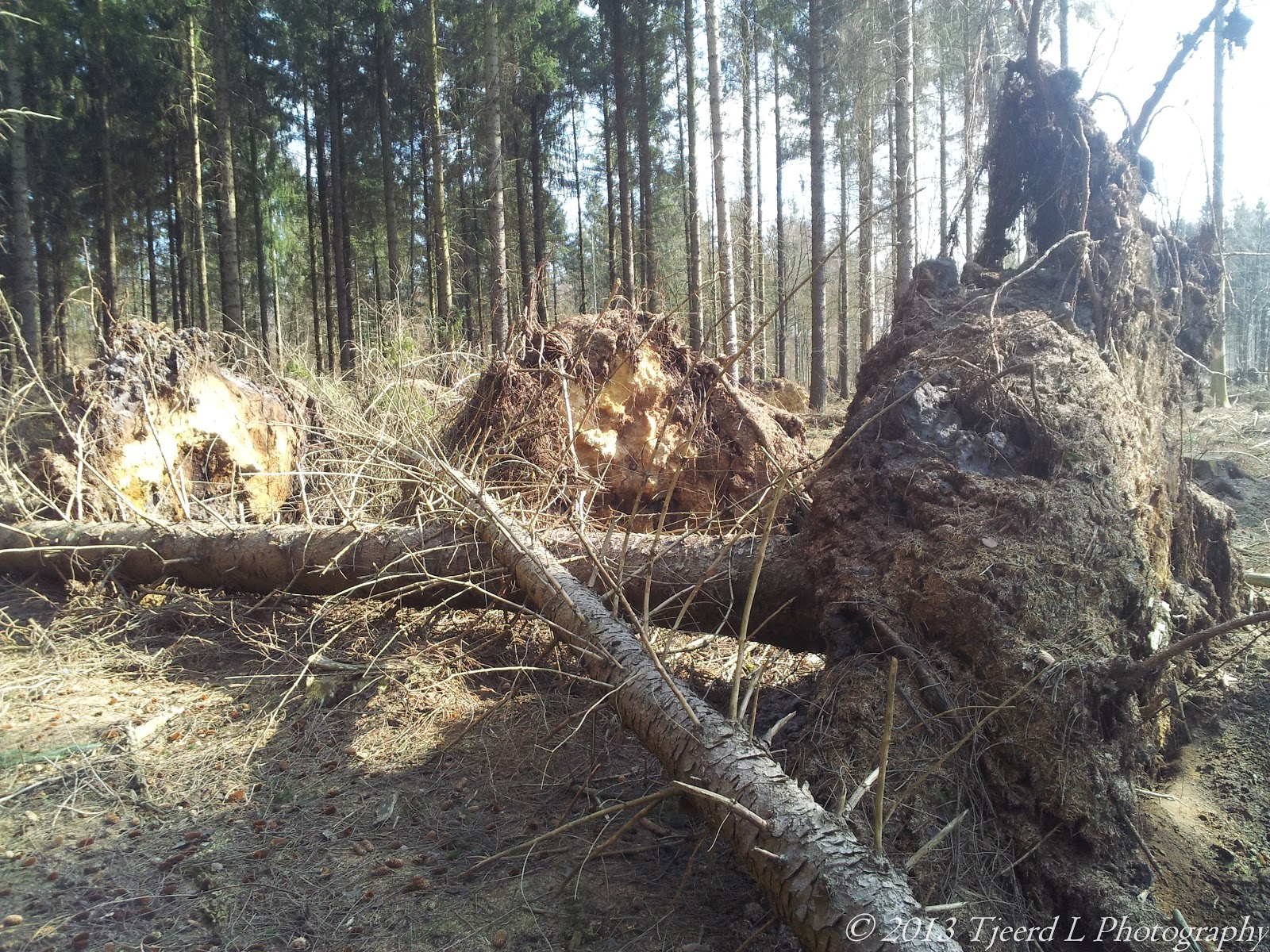 Beleef de natuur: Verwoesting van de natuur