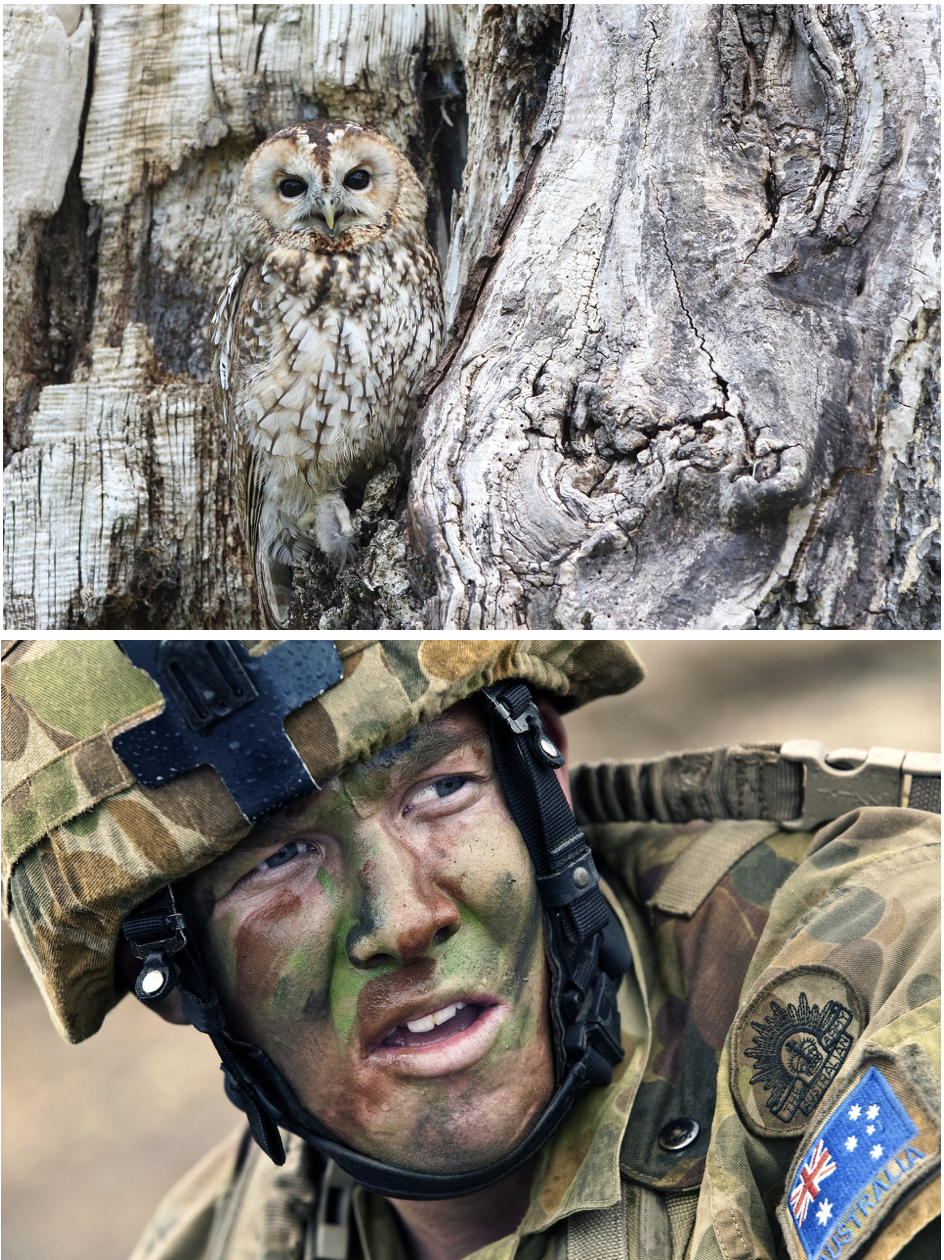 Designing a Solution to a Human Problem: Biomimicry for First and ...