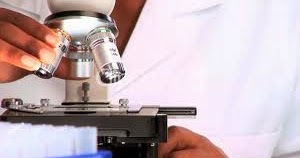 #3. Microscopy | Biology Notes for A level