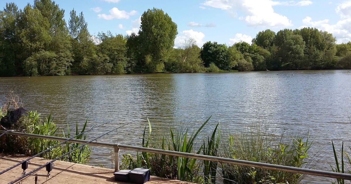 The Lure of Angling: Ryton's on the change.