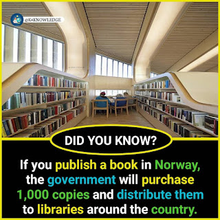 [50+] Amazing Facts that you Should Know