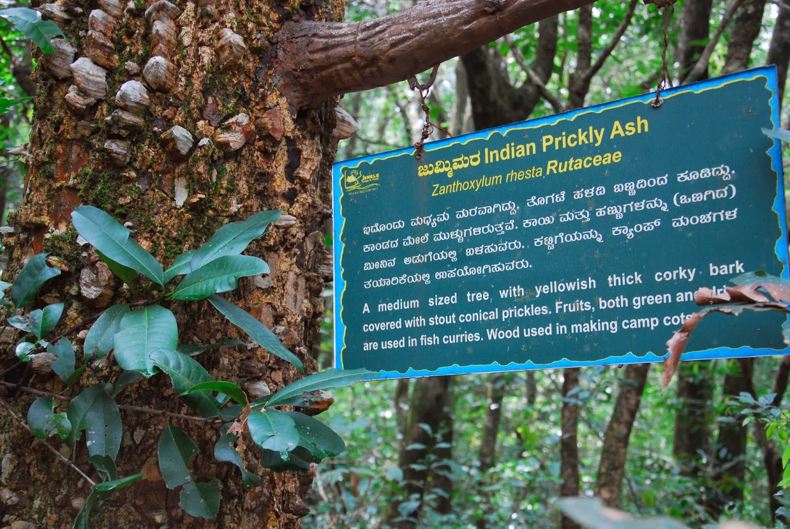 VISWANATH S: SEETHANADI-HEBRI-2013