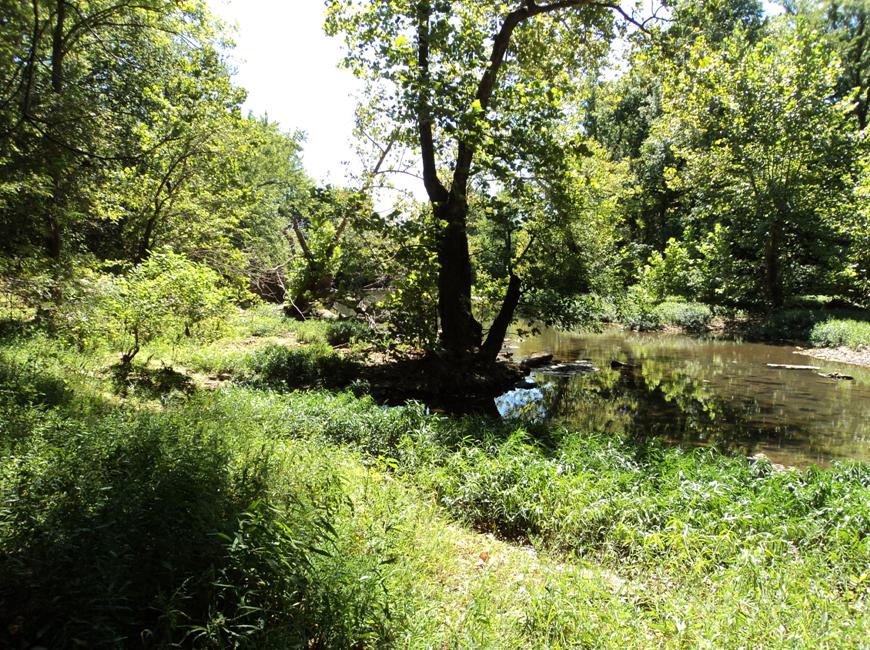 Aerial Geologist: Finding Patterson Spring