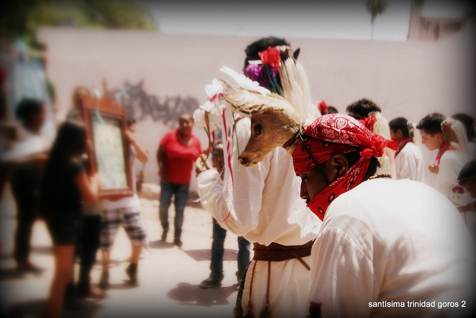 Gracoaventuras: Conti. Fiesta mayo yoreme de la Santísima Trinidad