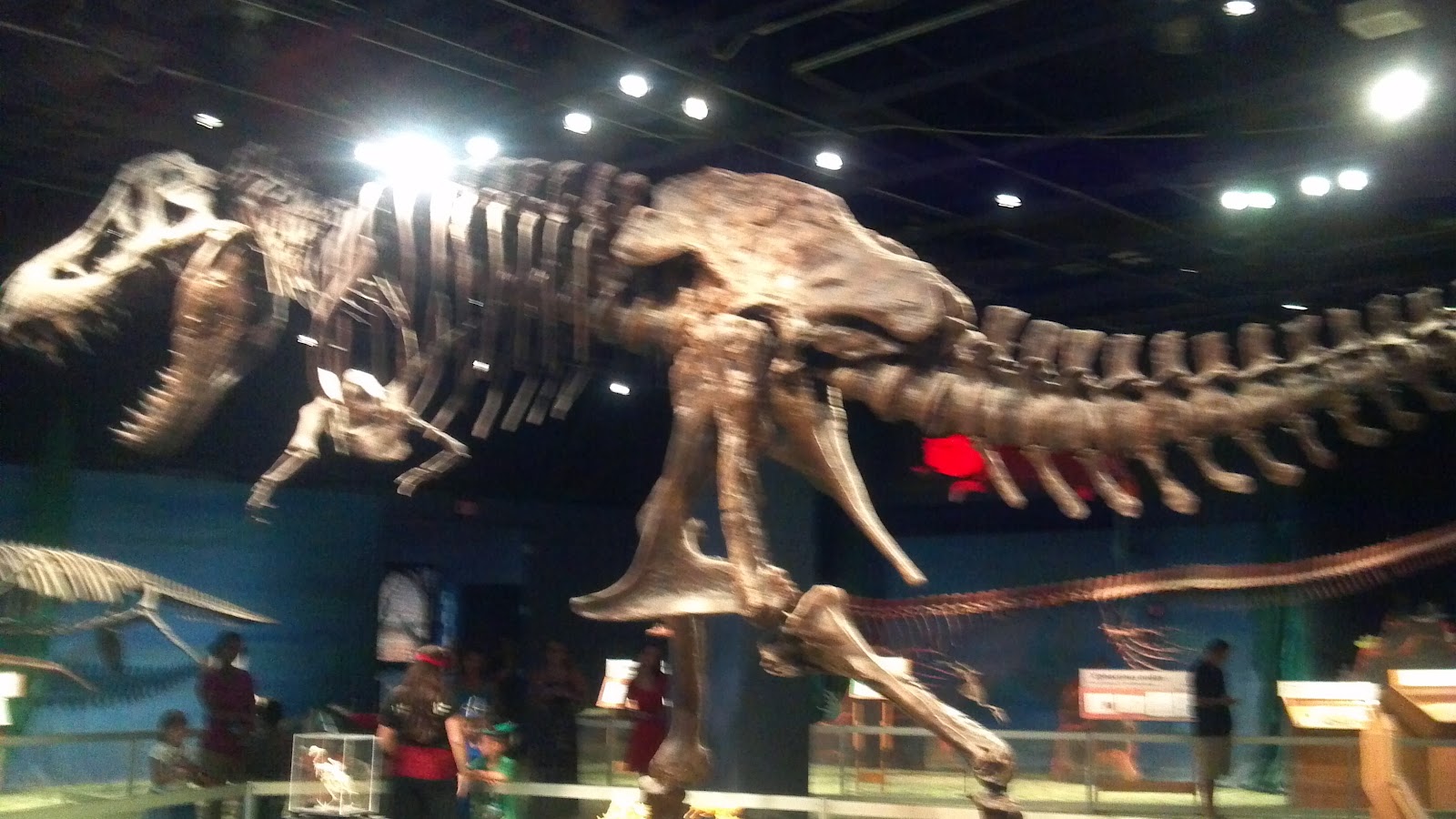 Orlando Area Theme Parks, Attractions, and Eateries: Orlando Science Center