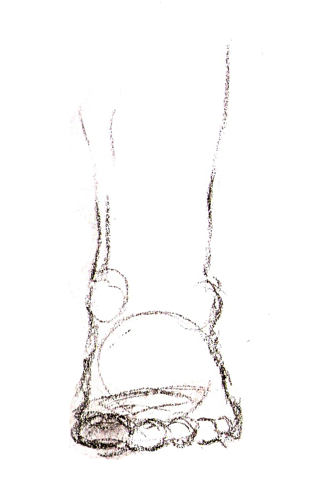 diseño: bocetos de pies