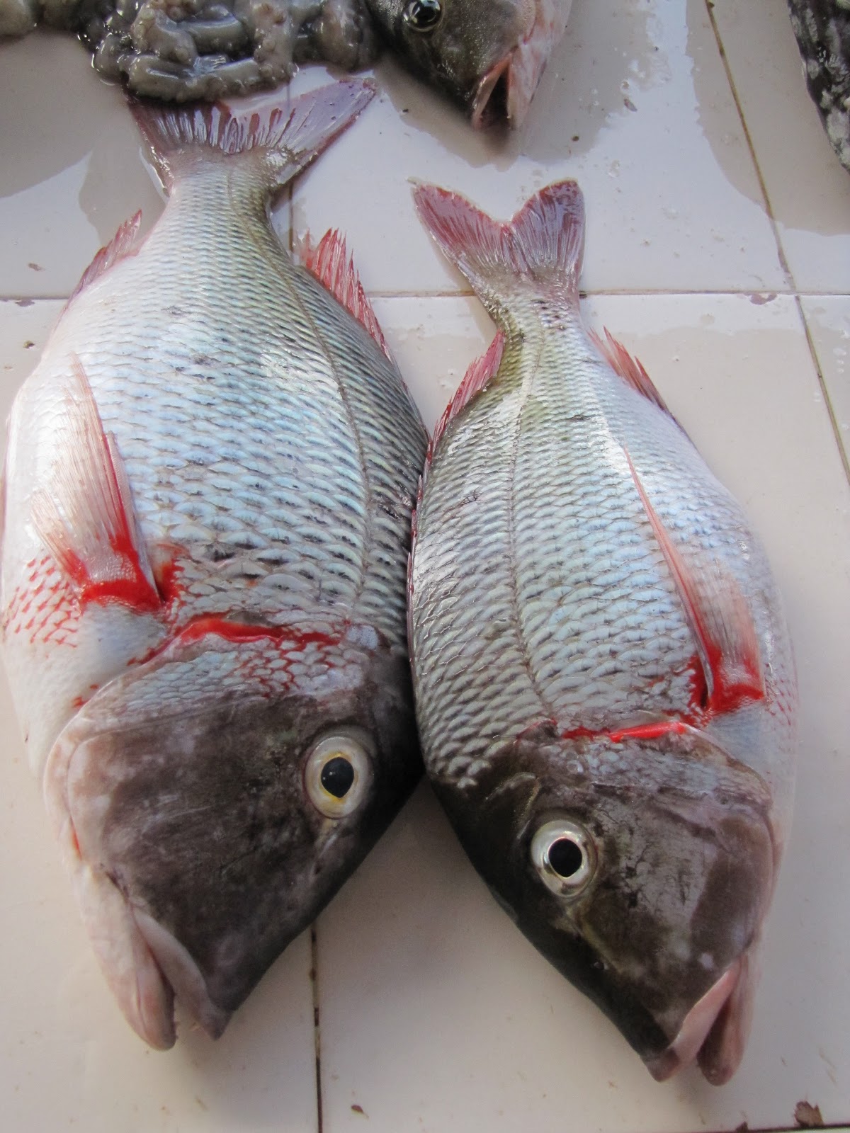 Dipa's Daily Dumplings: Likoni Fishermen