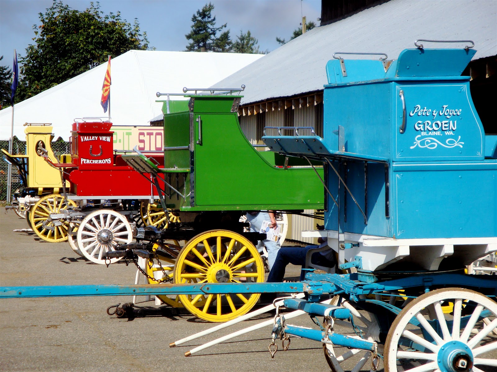 Herding Grasshoppers: The Lynden Fair