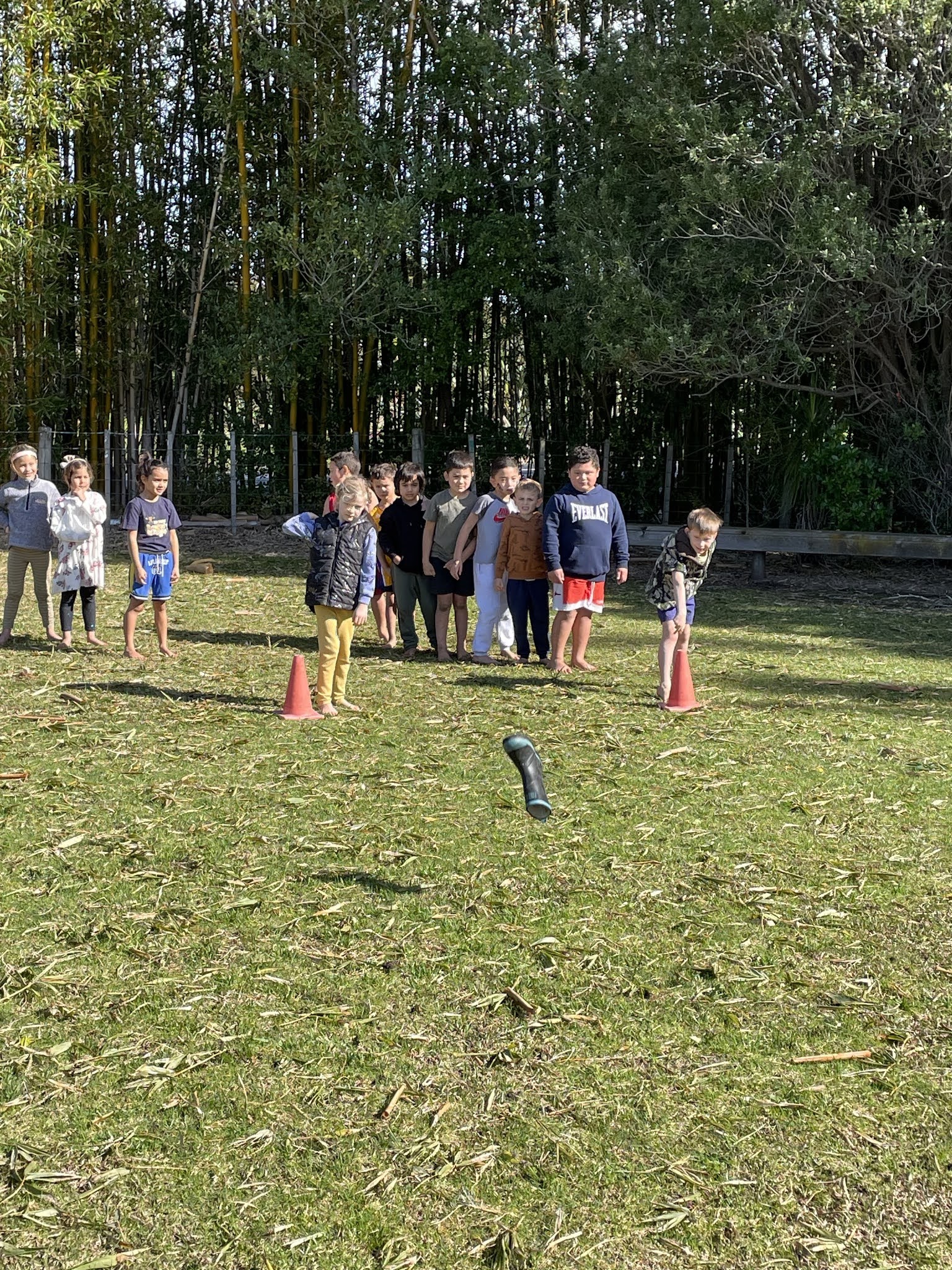 Te Putake Whanau @ Paparore School