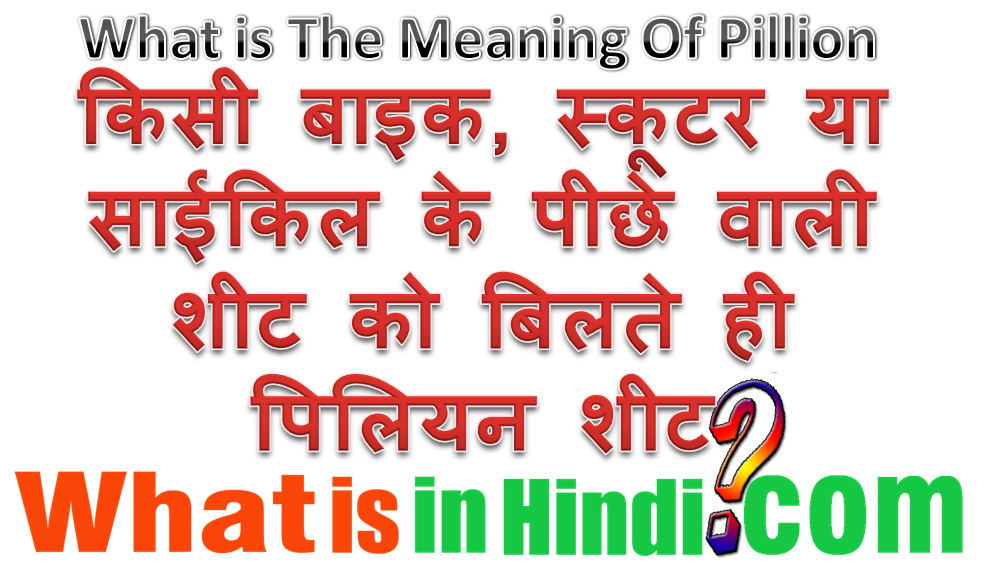 Pillion का मतलब क्या होता है | What is the meaning of Pillion in Hindi ...