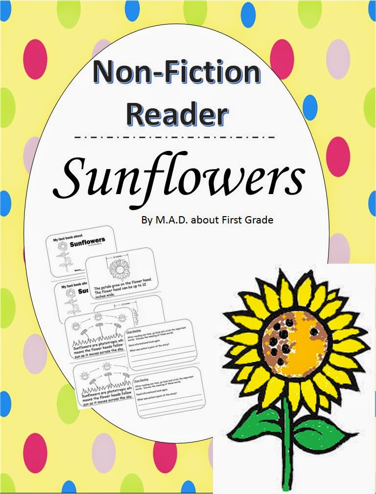 M.A.D. about first grade: Sunflowers!!
