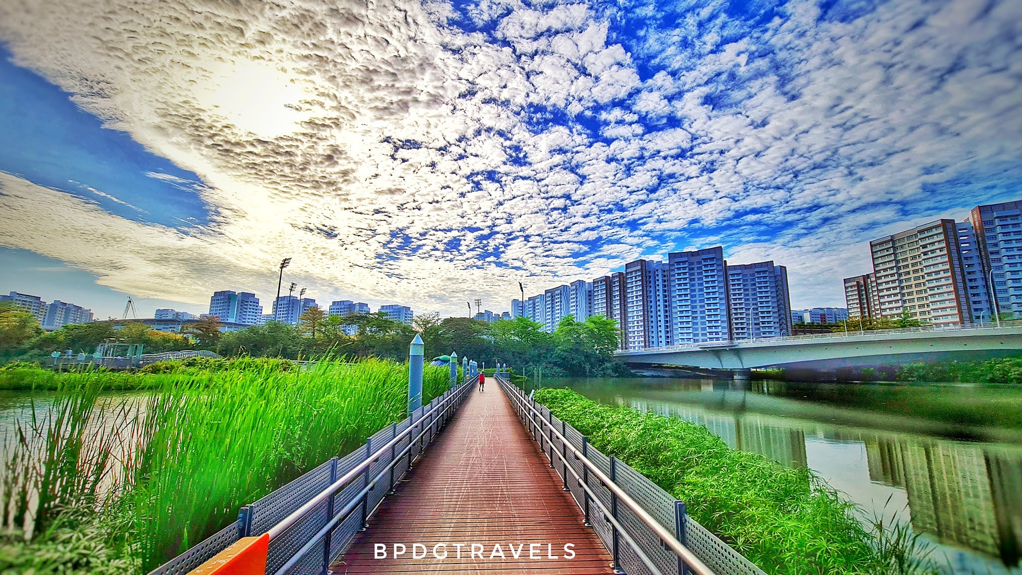 Sengkang Riverside Park & Sengkang Floating Wetland | BPDGTravels ...