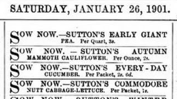 The Promise of Seeds: Magic in a Packet: 1883 - Commodore Nutt: The ...