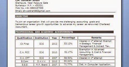 Professional CV Format For Chartered Accountant