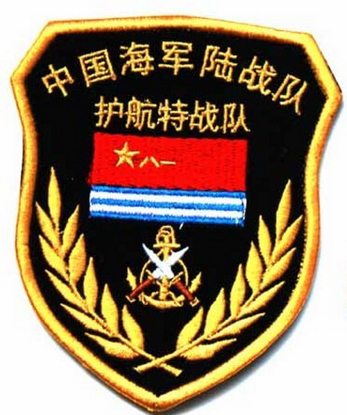 China Defense Blog: Chinese Military Badge Of The Day: