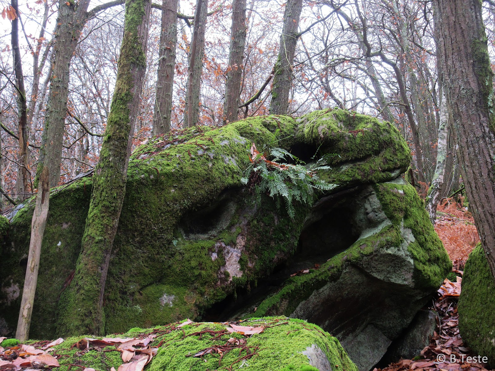 Stonejinns: Bleau trip