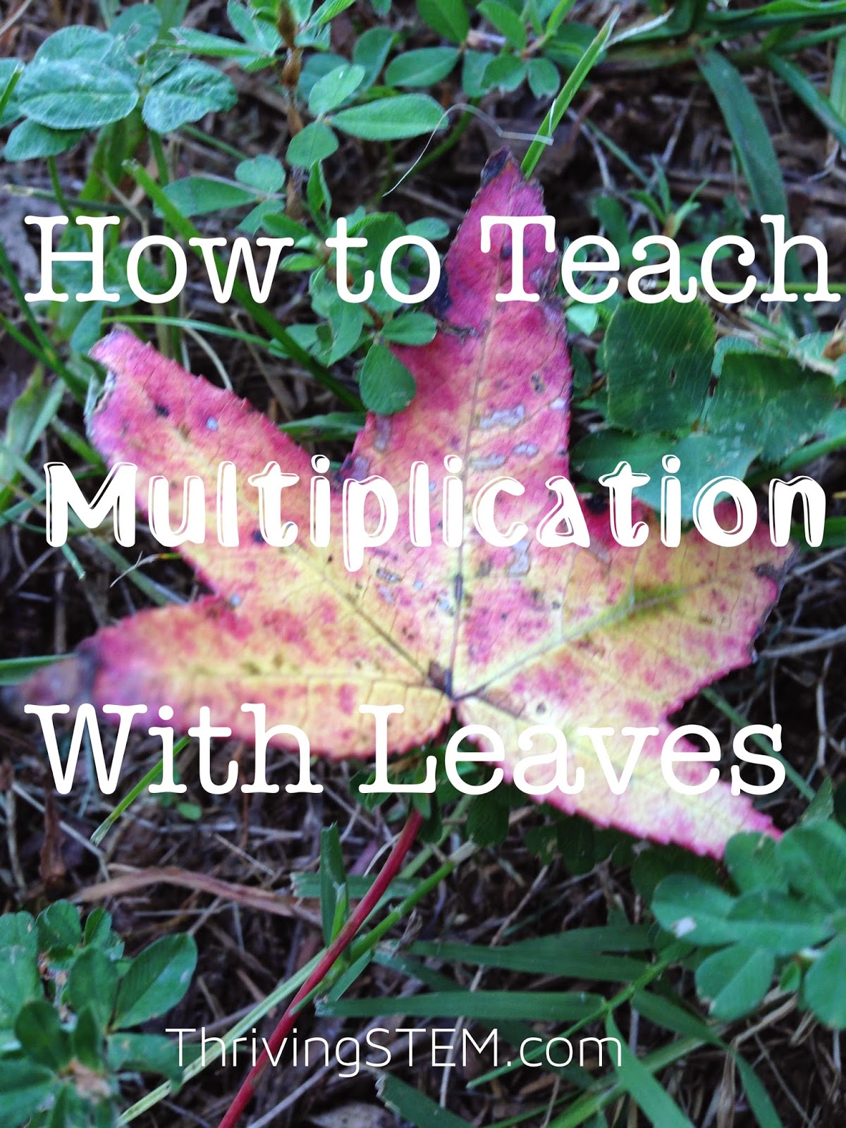 How to Teach Multiplication with Leaves - Thriving STEM