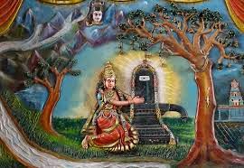 Kanchi Kamashi Ammavarru - Kanchipuram | Hindu Temples