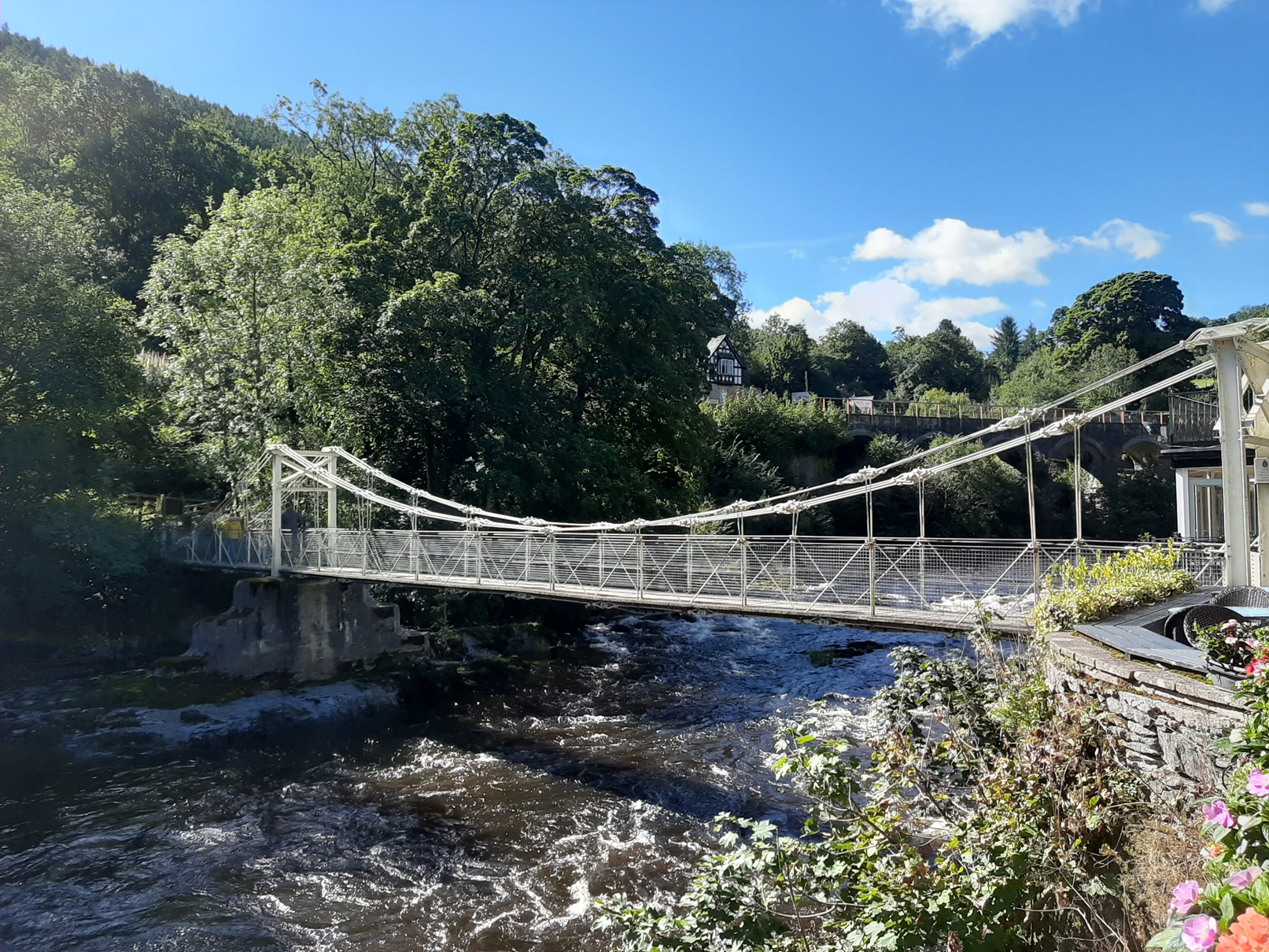 The Happy Pontist: 2020