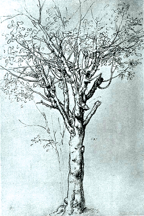 monoversum: The tree of cosmological natural selection