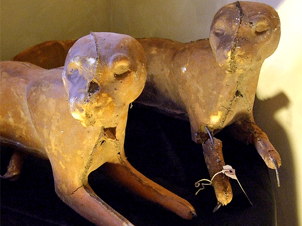 Pandora's Parlor: Vintage Taxidermy Bobcat Forms