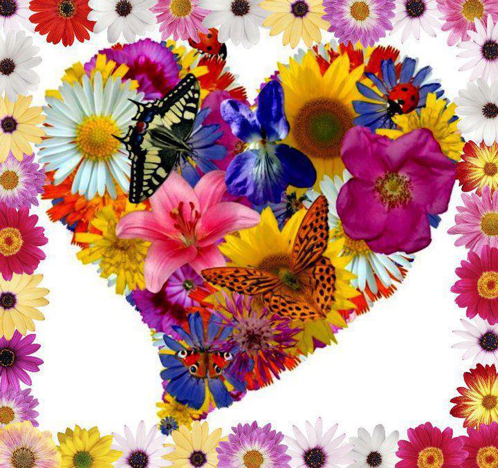 Imágenes de corazones y flores - Imagui