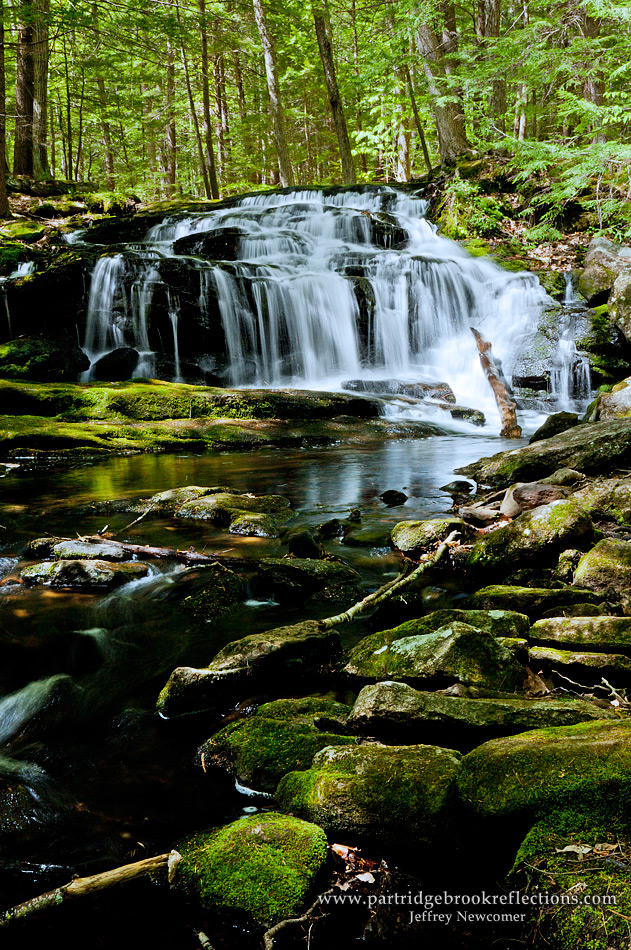 Getting it Right in the Digital Camera : Waterfall Treasures of ...
