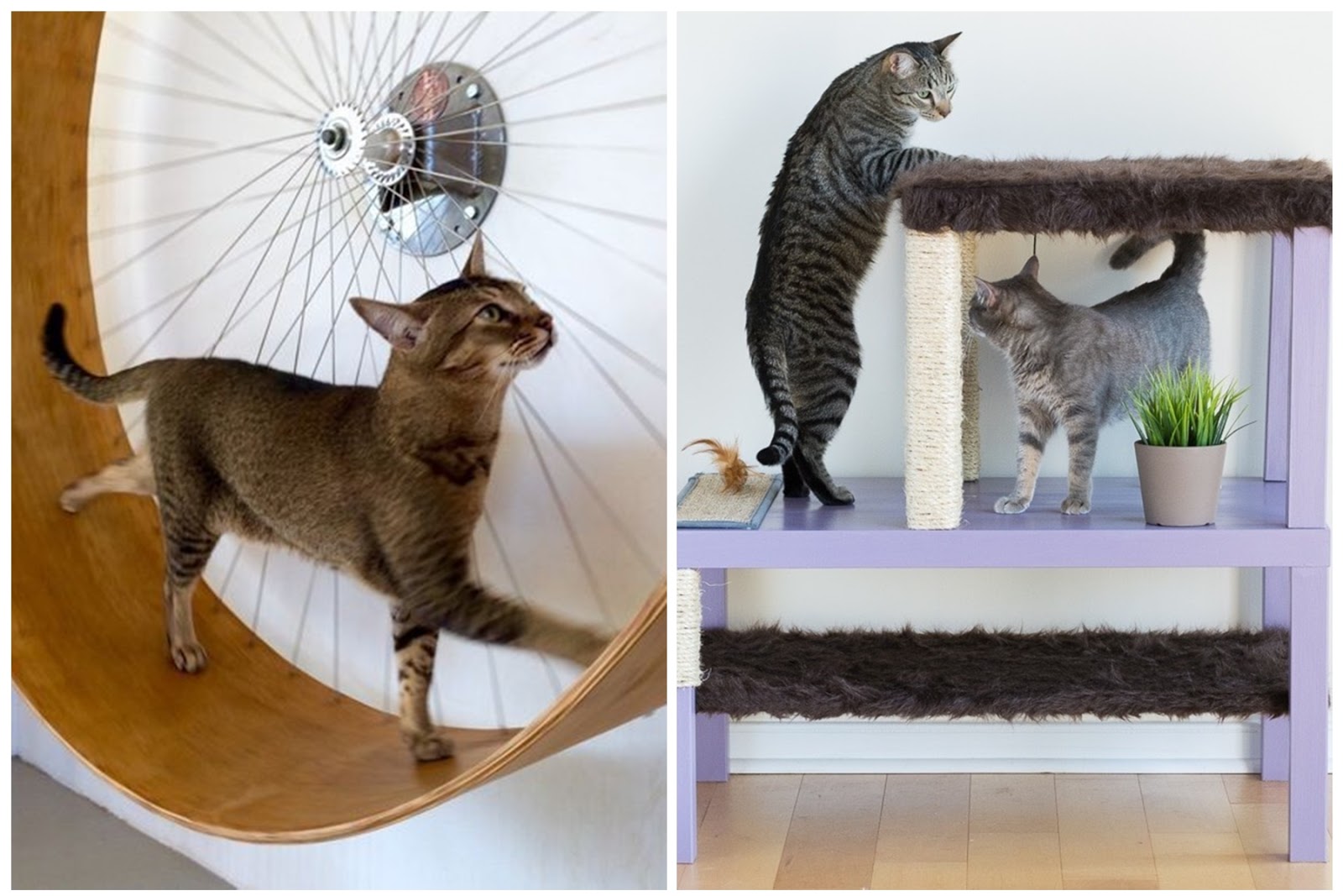 5 Interesting DIY Project Ideas For Your Cats Best Interior Design Ideas 5-interesting-diy-project-ideas-for-your-cats-best-interior-design-ideas
