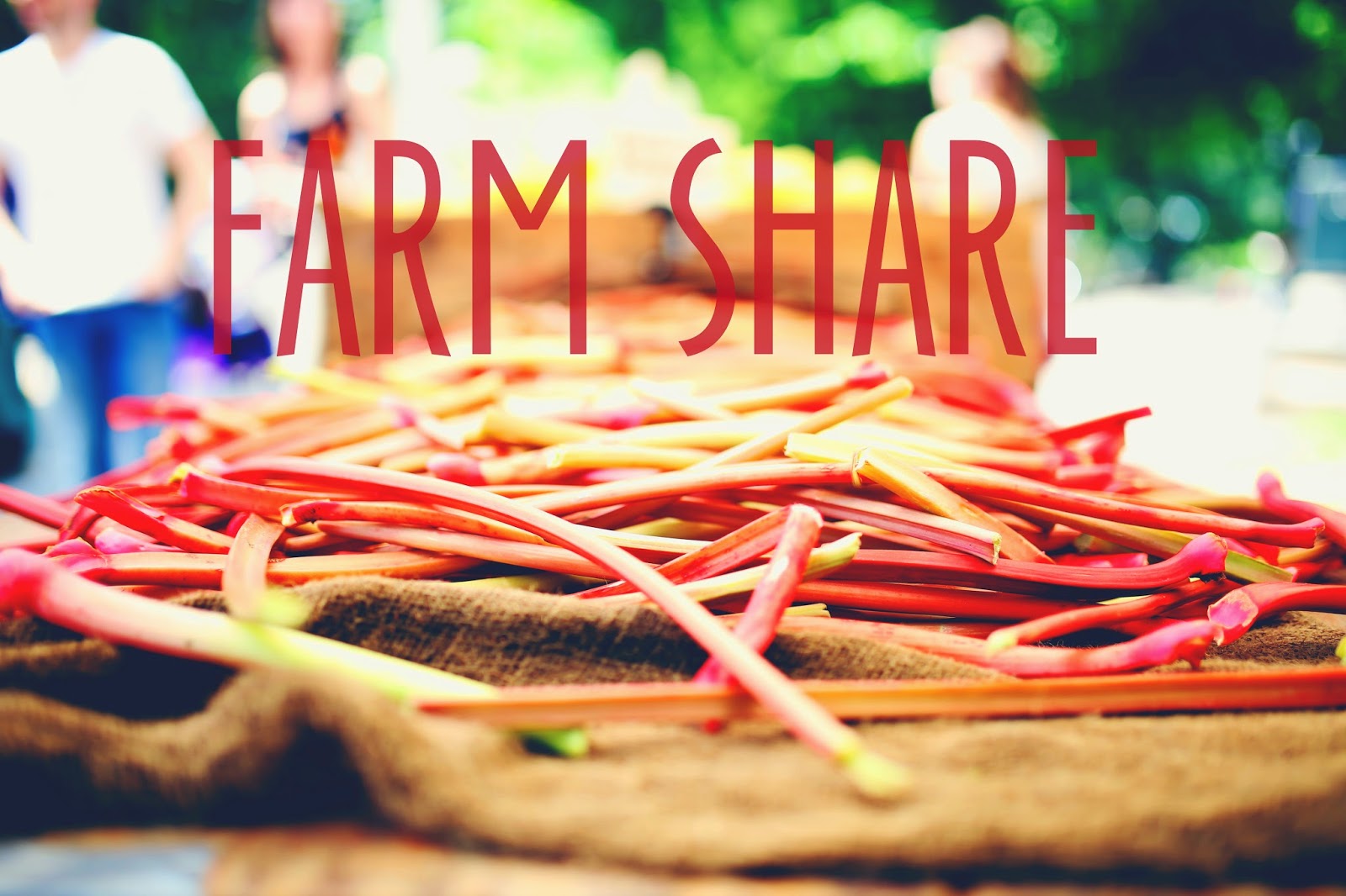 The Scribble Pad: Introducing a New Series: Farm Share 101