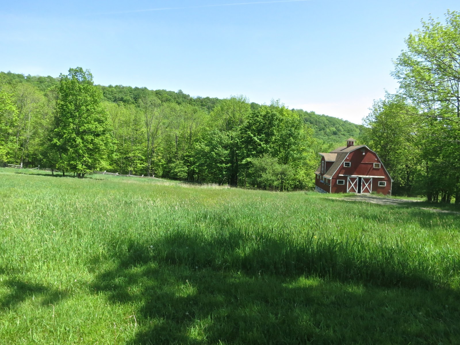 The William Brown Project: WM BROWN CABIN RENTAL