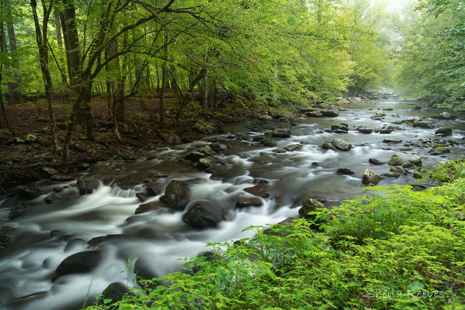 Sunny Sixteen Camera Club: A Photographic Journey - Through the Lenses ...