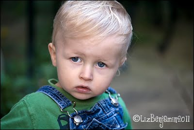 Liz Benjamin Photography