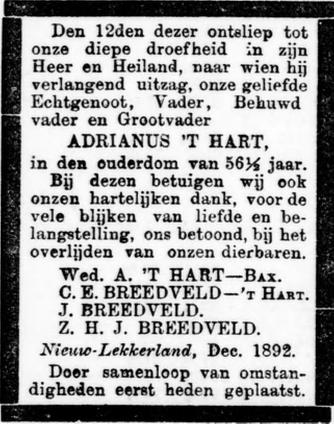 Joan's Ancestral World: 2021