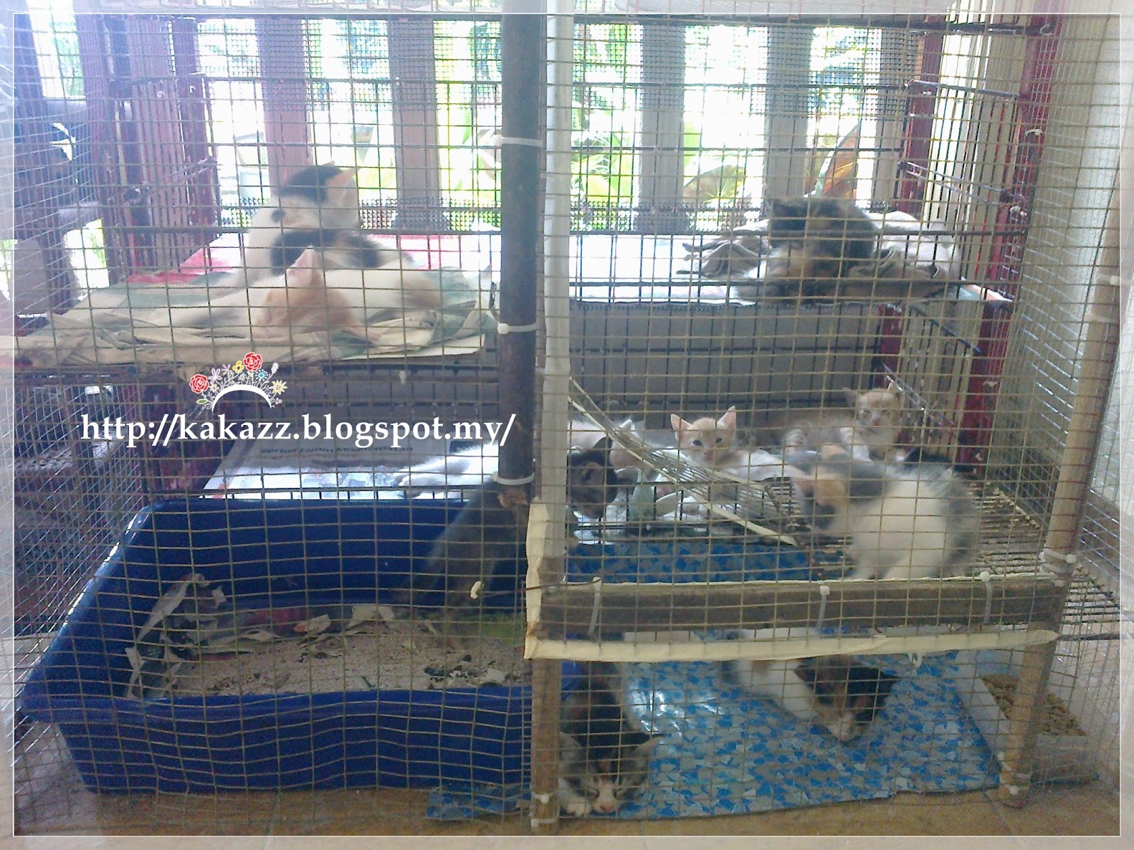 cik azz: DIY: Buat sendiri sangkar kucing.