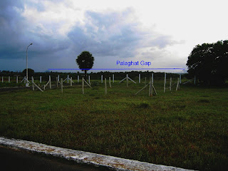 Historic Alleys: Trade through the Palghat gap