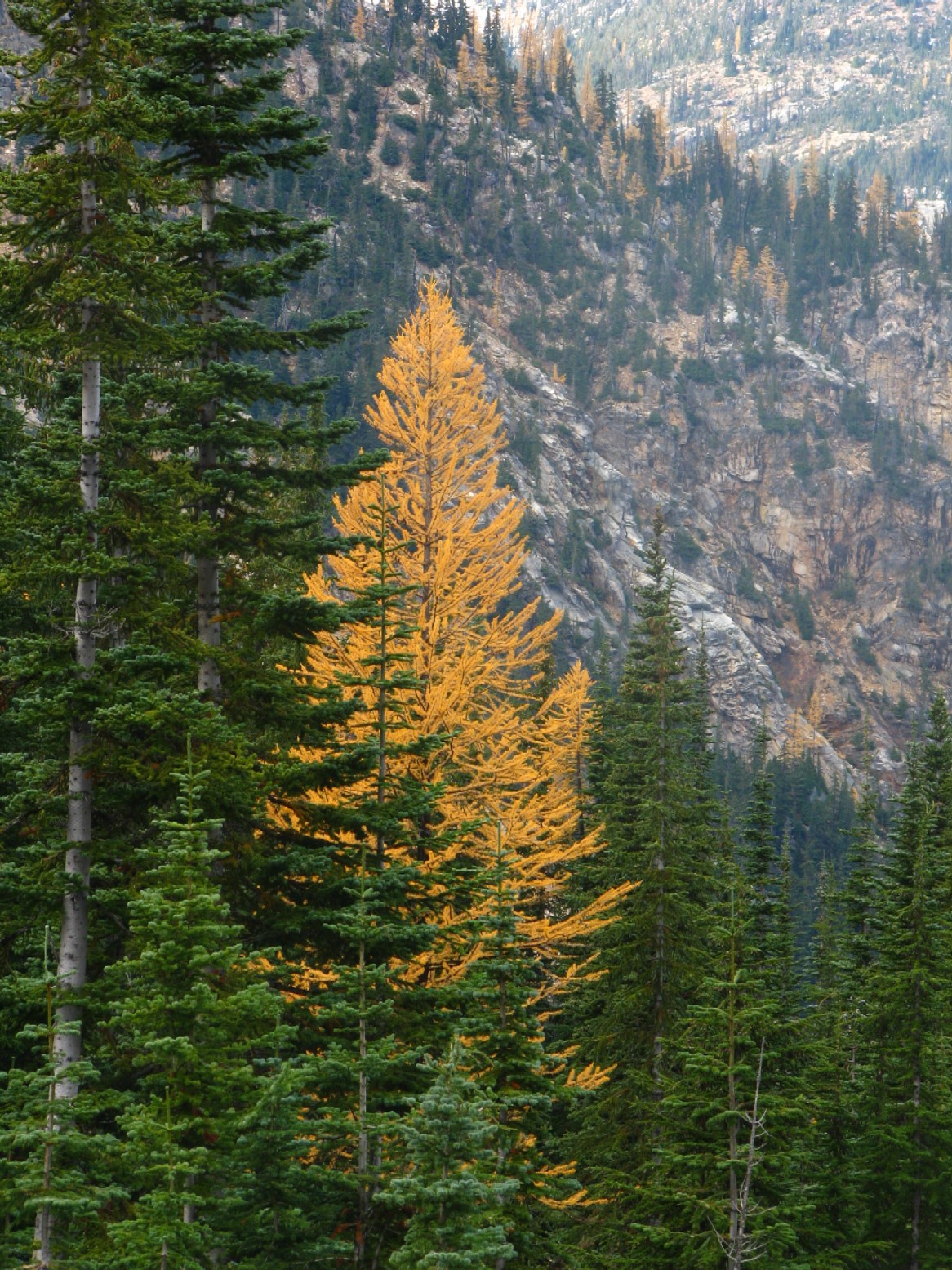 Methow Conservancy: March 2014