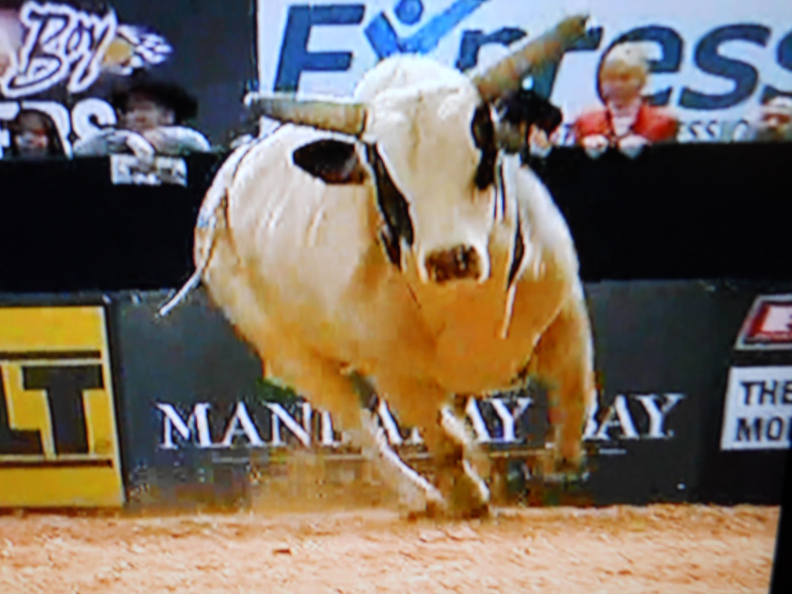 Rank: Bull Riding News: Finals: Round One at a Glance
