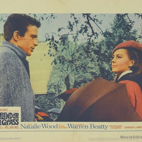 Splendor In The Grass Poster