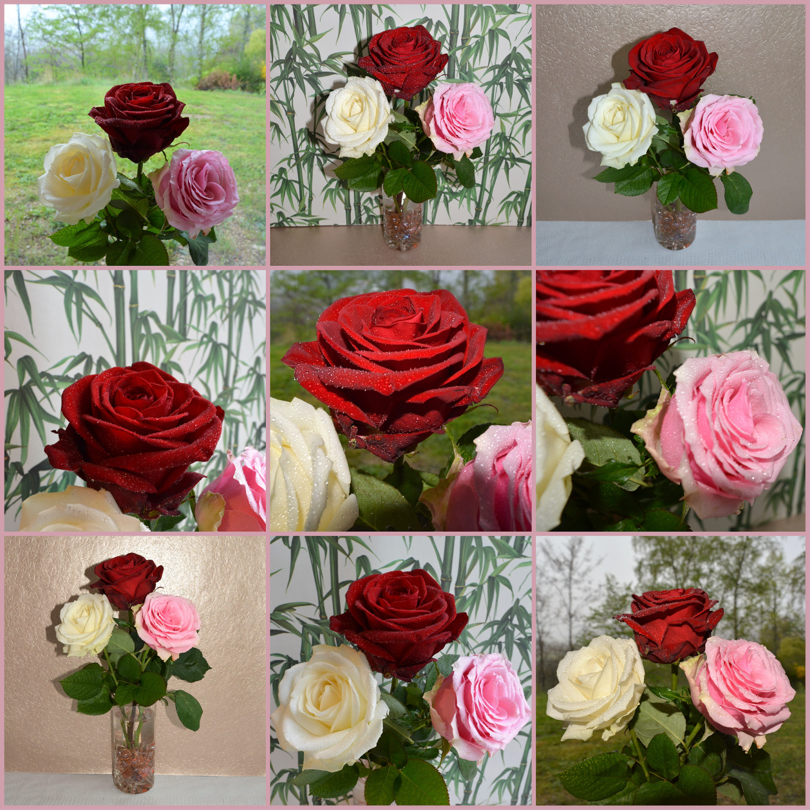 Bemerry.B: Photos - un bouquet - 3 roses - différentes façons de les ...