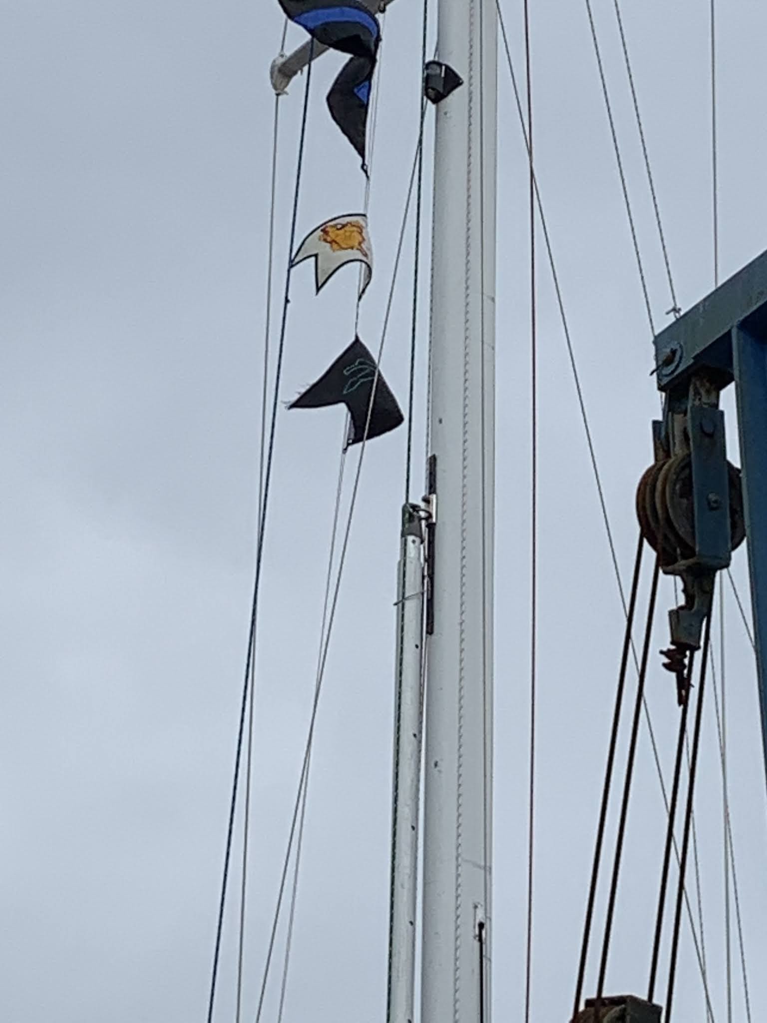 Aquaholic: 6/7/21 - Hanging in Darien at Two Way Fish Camp to ensure ...