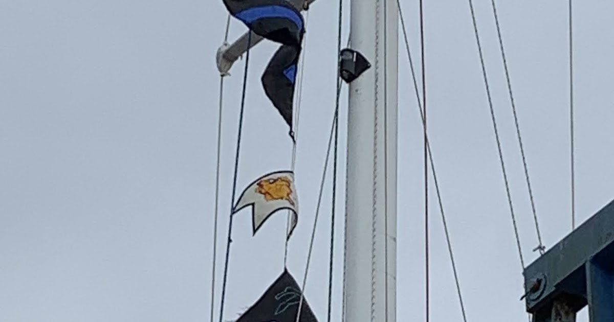 Aquaholic: 6/7/21 - Hanging in Darien at Two Way Fish Camp to ensure ...