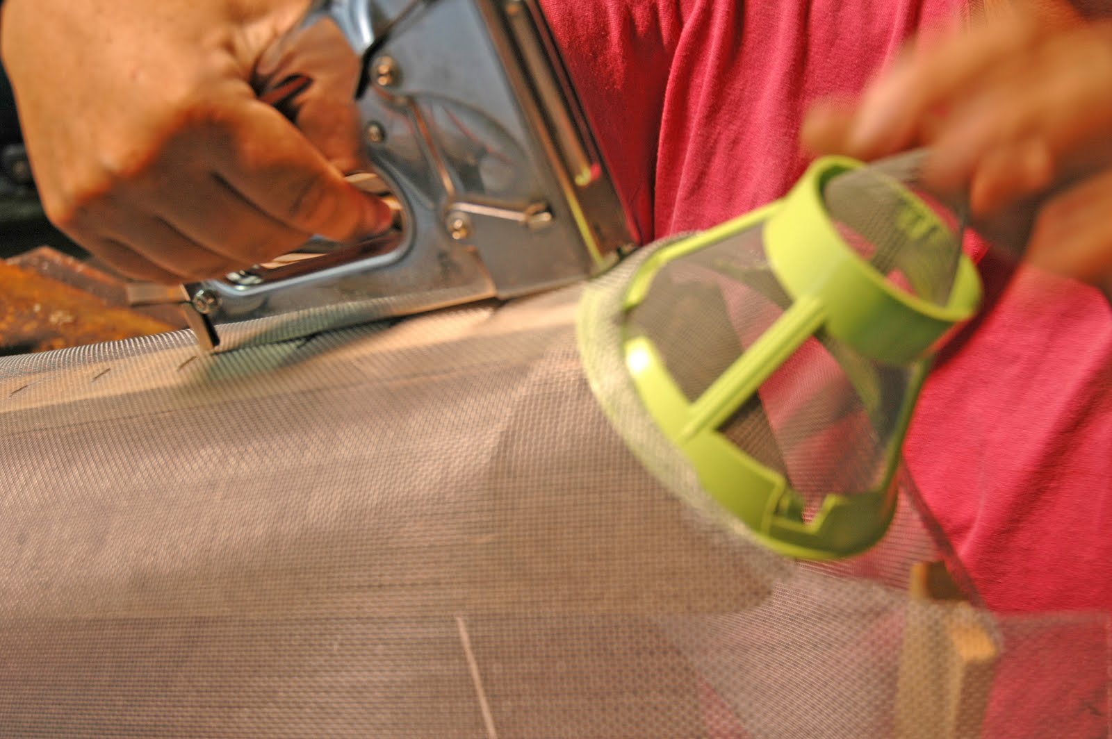 Northern Pecans: Building a pecan weevil trap