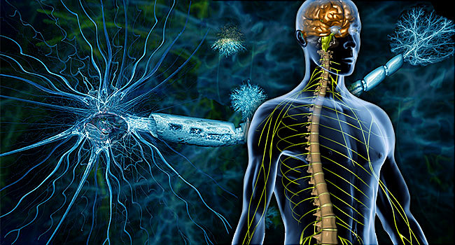 Encyclopedia of Medicine: Multiple Sclerosis - Spine Pain - Relief ...